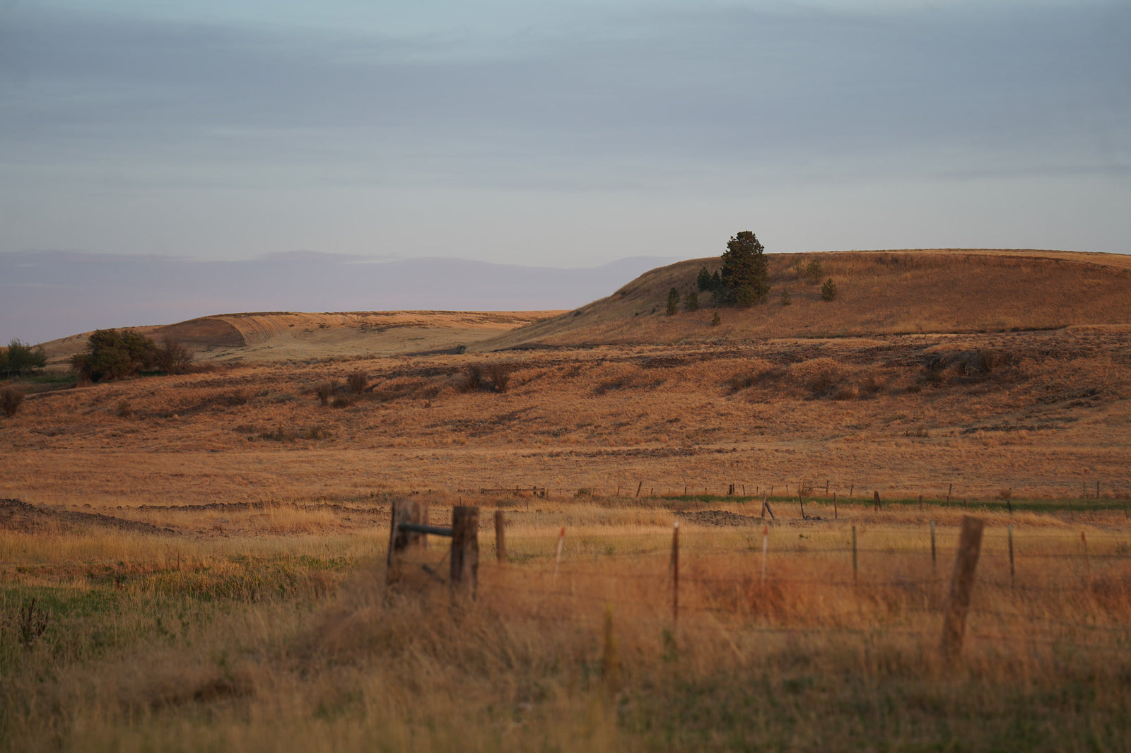 Hillside Highland Co.